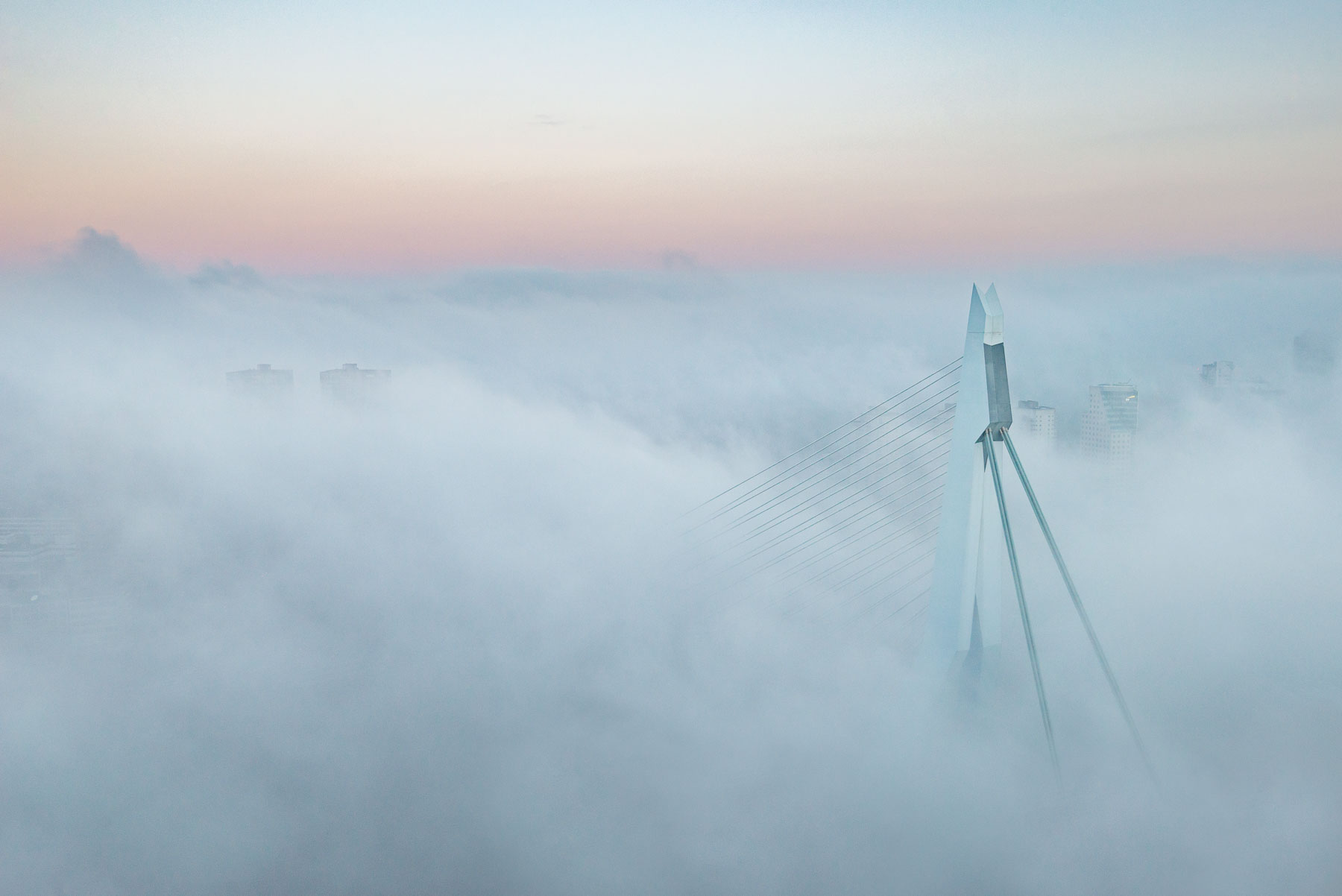 Erasmusbrug in de mist - Foto - Ronne Vinkx