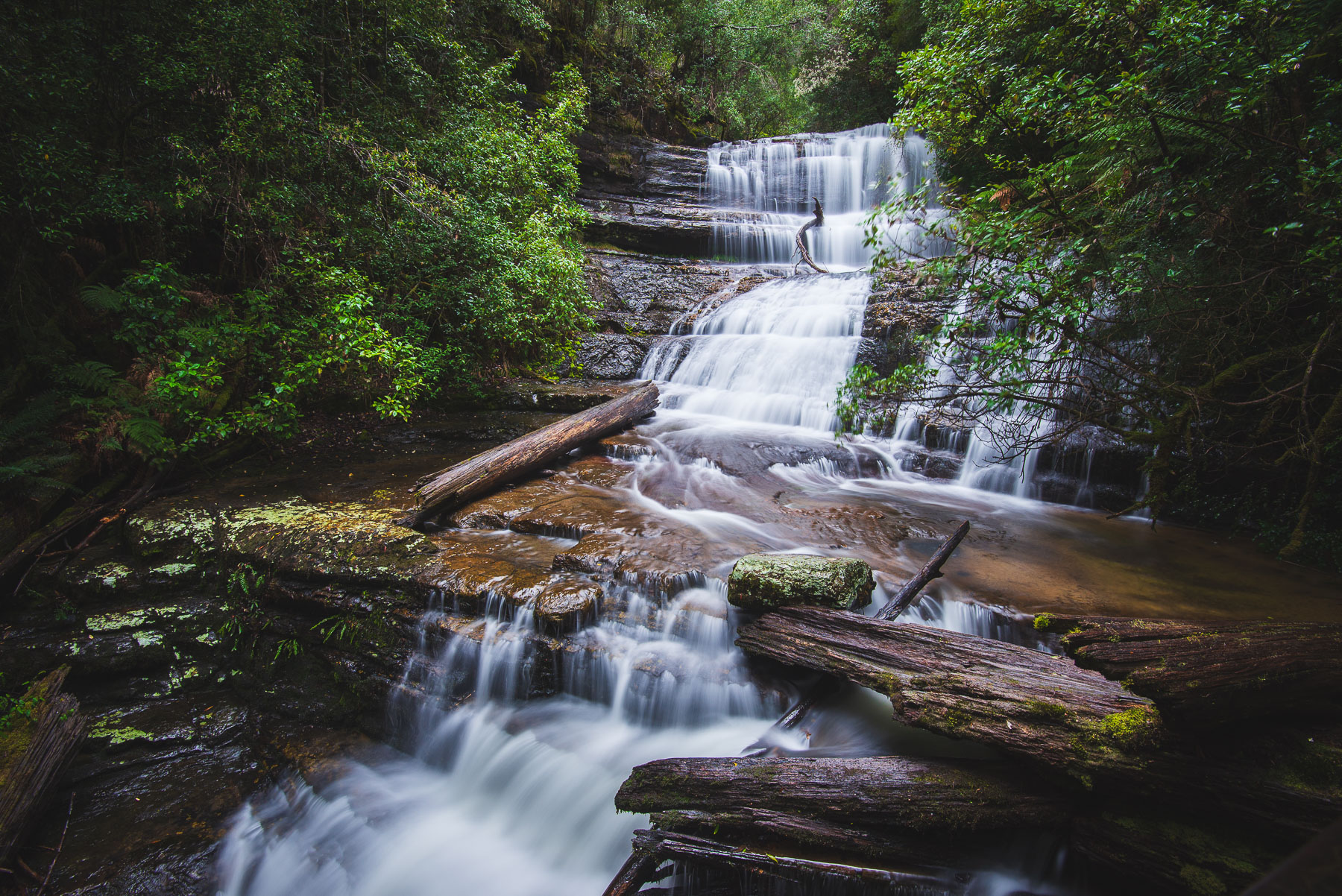 Lady Barron Falls - Foto - Ronne Vinkx